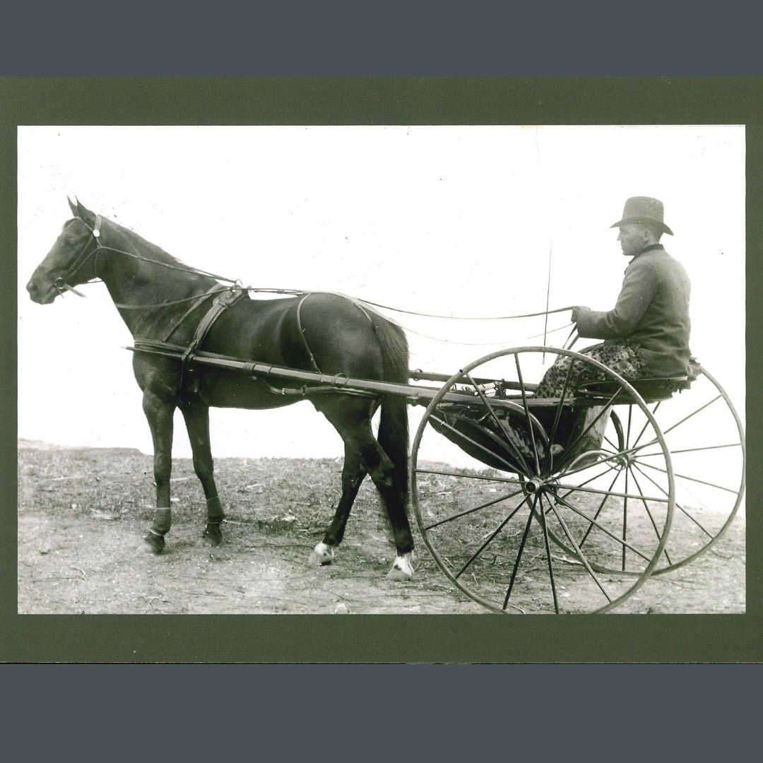 Large Postcards | Racine Heritage Museum